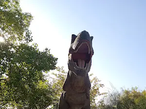 Museo La Rodadora Espacio Interactivo en Cd. Juárez, Chihuahua 》