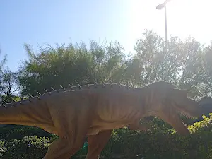 Museo La Rodadora Espacio Interactivo en Cd. Juárez, Chihuahua 》