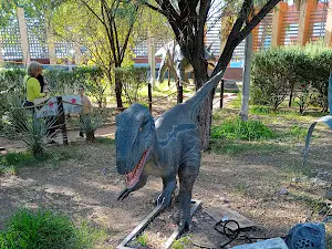 Museo La Rodadora Espacio Interactivo en Cd. Juárez, Chihuahua 》